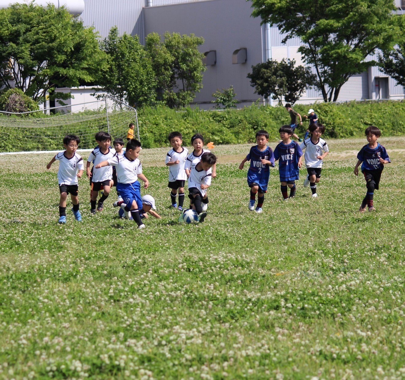 U7 シリウスカップ | FC XEBEC